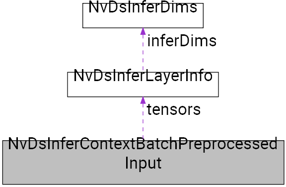 Nvidia Deepstream Sdk Api Reference Nvdsinfercontextbatchpreprocessedinput Struct Reference